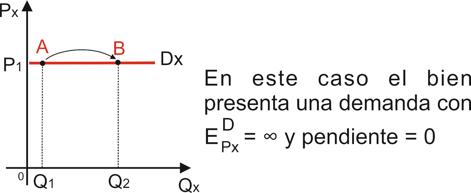Economía: ELASTICIDAD PRECIO DE LA DEMANDA