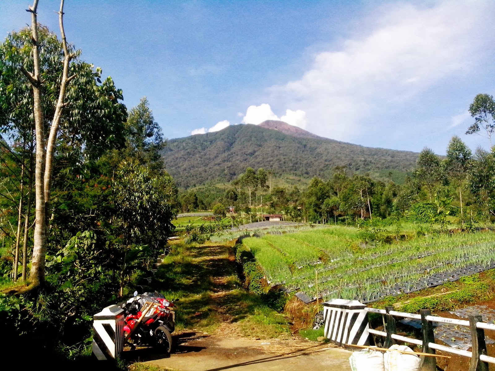 Pendakian Gunung Slamet 2014