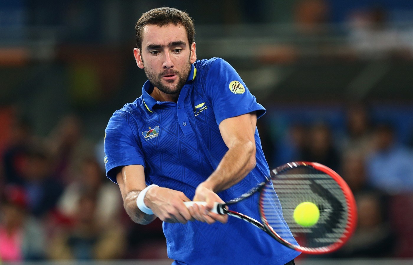 Tenis al Máximo: CILIC VA POR EL TORNEO EN MOSCÚ