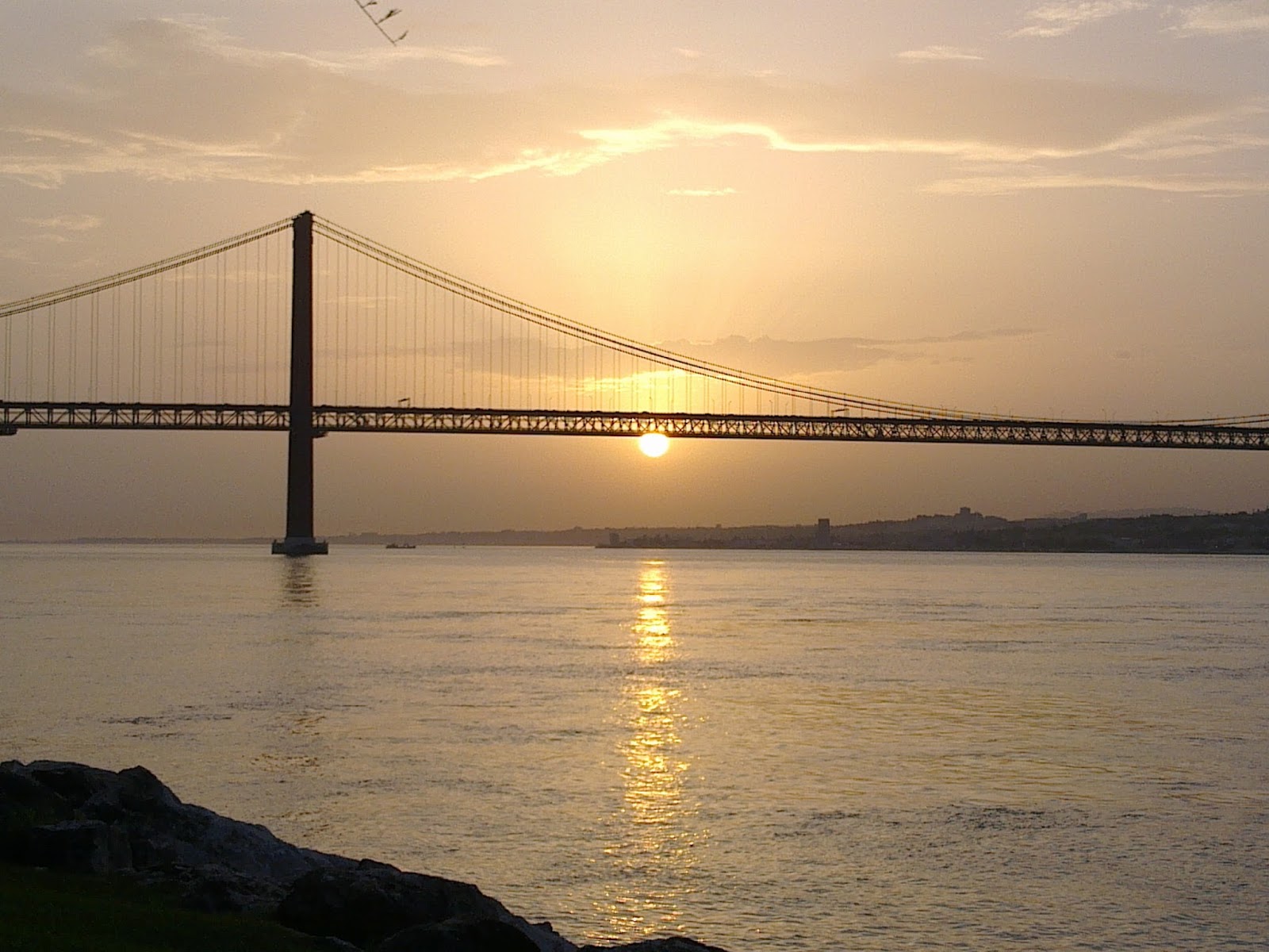 love makes the world go round: jardim do rio