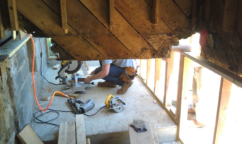 ~ flipNdesign ~: Rats, Foundation Walls, & No More Stairs