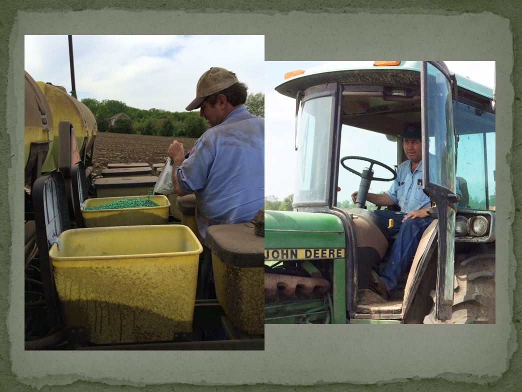 My Barnyard View : Rochester Rocks Dairy and FUTP60