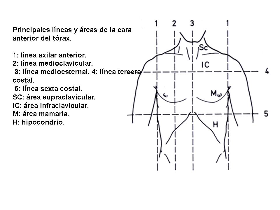 Fisioterapia Respiratoria: Valoración Semiológica del Sistema Respiratorio