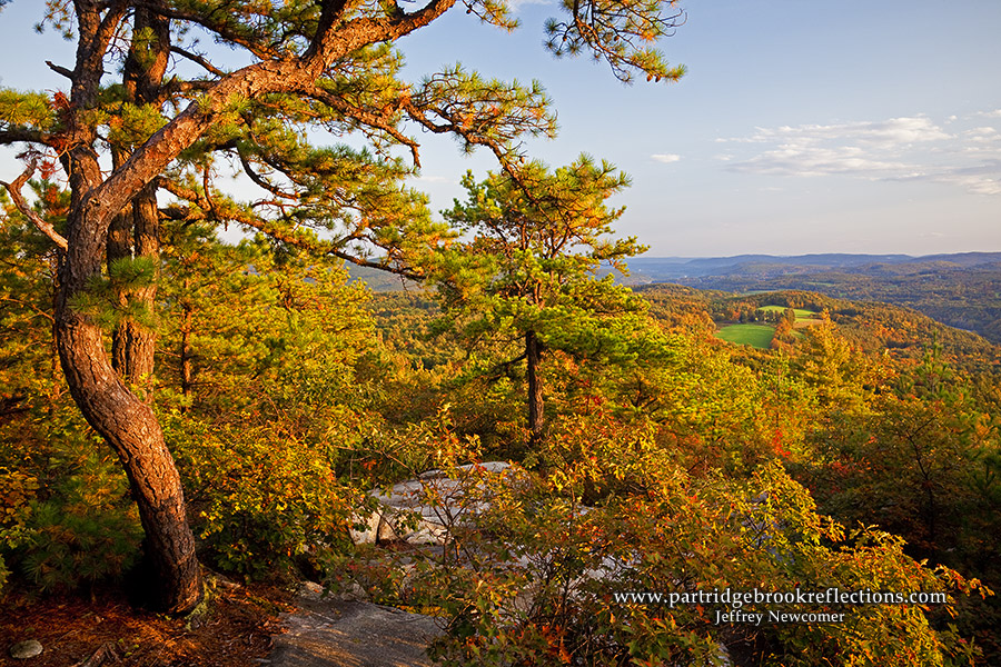 Getting it Right in the Digital Camera : Photographic Treasures of ...