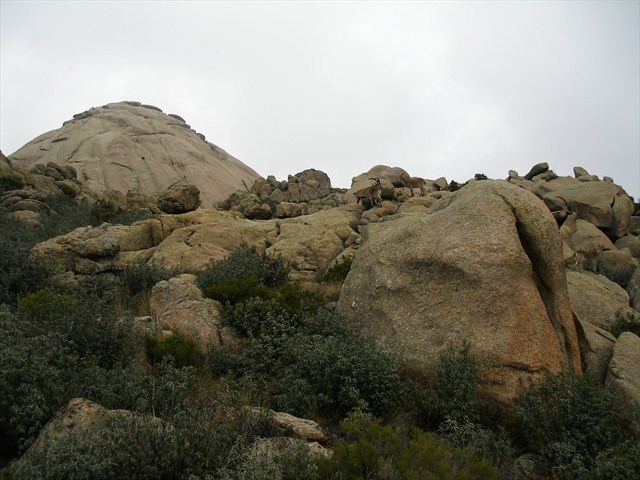 El Paisaje Como Espejo del Alma: TIPOS DE METEORIZACIÓN