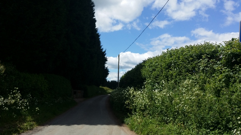 Lucy's Wednesday walks: Kinver Edge and Kingsford Forest Park