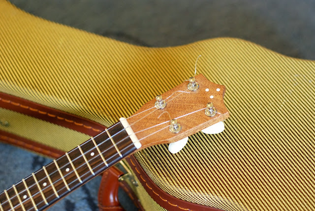 The Importance of Ukulele Nut Width - Beginners Tips