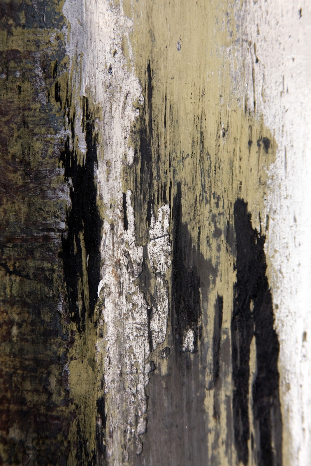 H.I.A.T. - Hey, I abandoned that!: The textures of decay