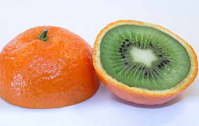 Um pouco de Biologia...: OGM