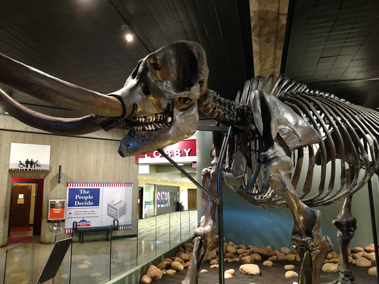Travels of a Hobgoblin Taphophile: Conway Mastodon - Ohio History Center