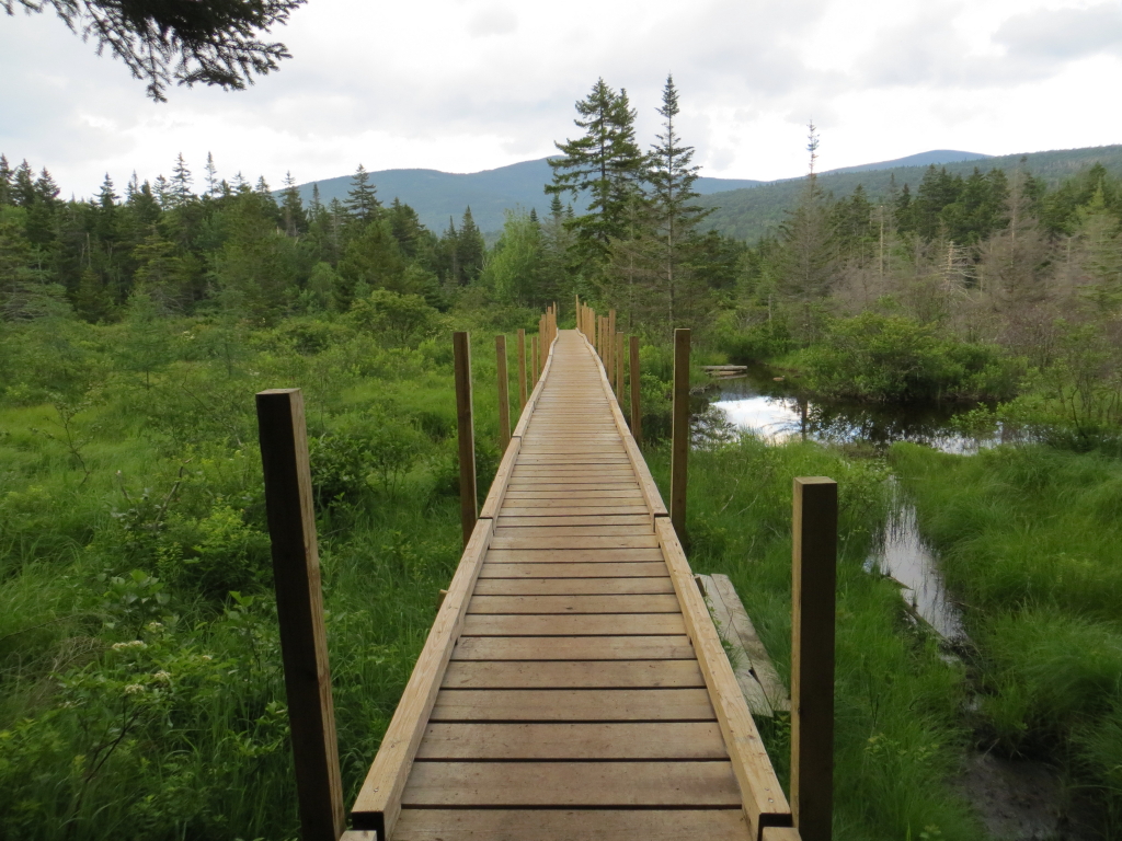 Mountain Wandering: Mount Hale Loop: 7/4/13