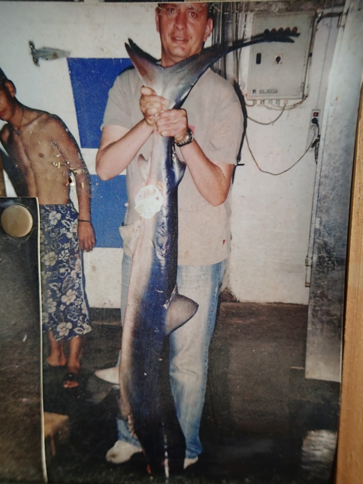 Athens Nature Journal: Butcher's shop in Samothraki - big fish trophy ...
