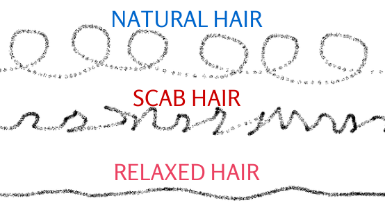Natural Hair Terms - Scab Hair and The Line of Demarcation - Seriously ...