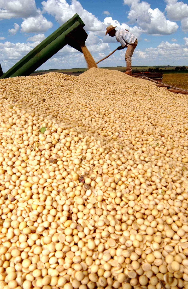 AGRO Jornal: Argentina: Governo estima safra de soja em 44 milhões de ...