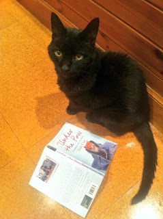 Under The Paw: Guest Reader's Cat Of The Week: Captain Wednesday Mitchell