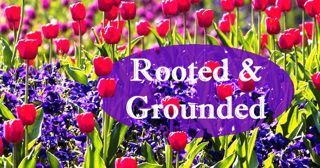 The Difference That Being Rooted & Grounded Makes | Draw Nigh To Hope