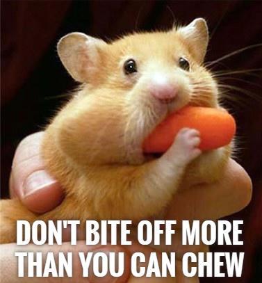 Don't Bite Off More than You Can Chew