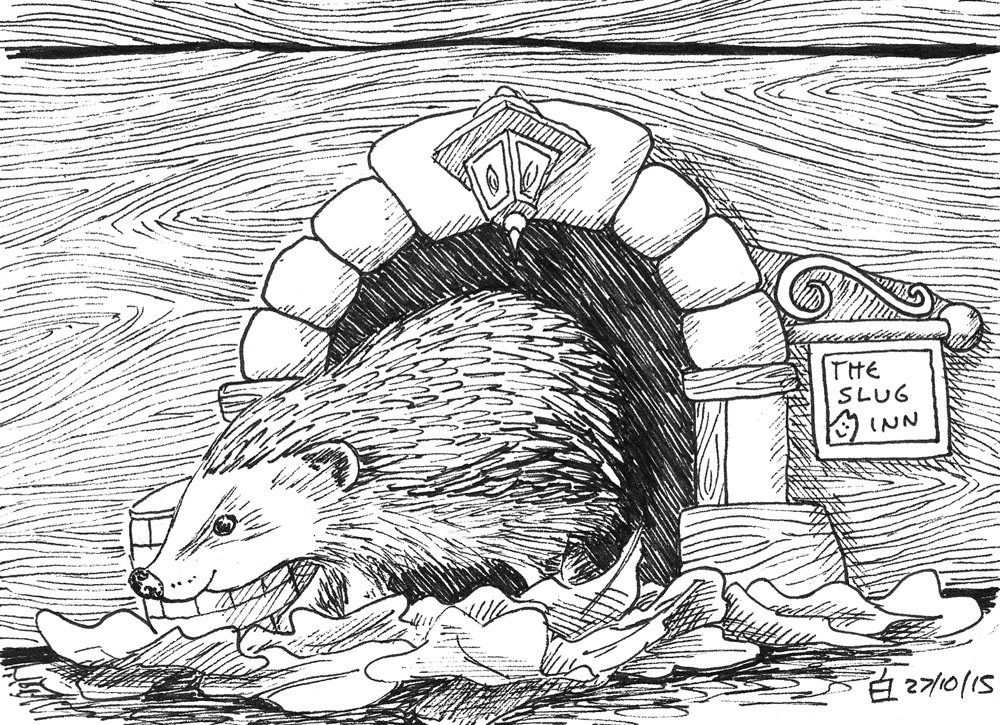 Hedgehog Doors: About