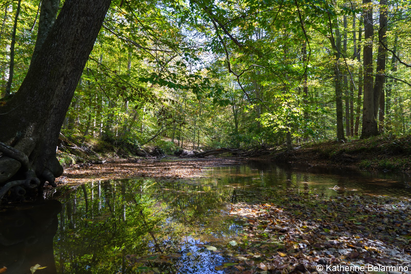 14 Fun Things to Do on a Virginia Weekend Getaway | Travel the World