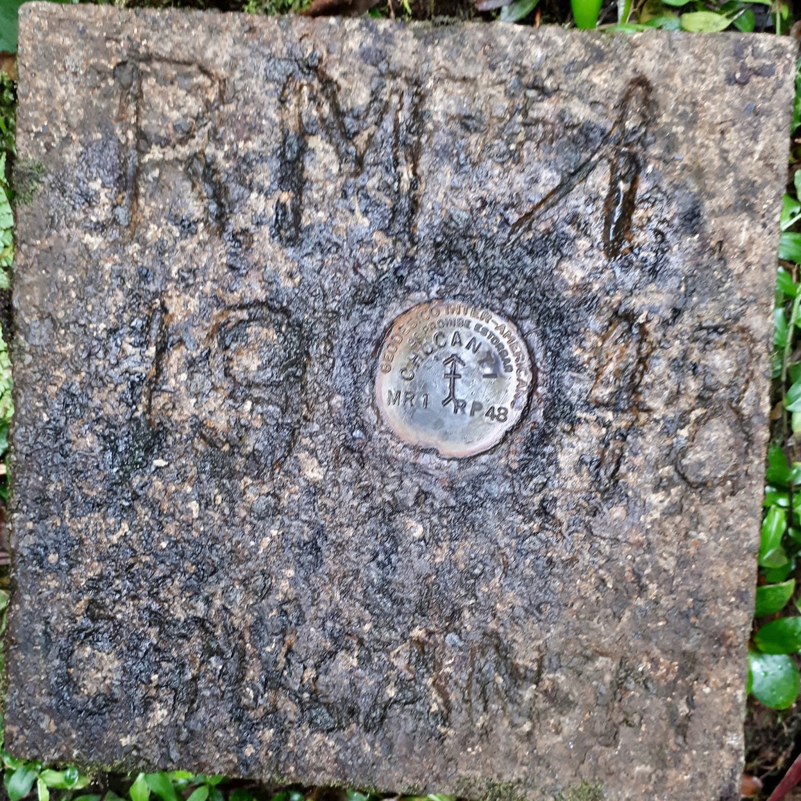 Jan Axel's Blog: February 2019