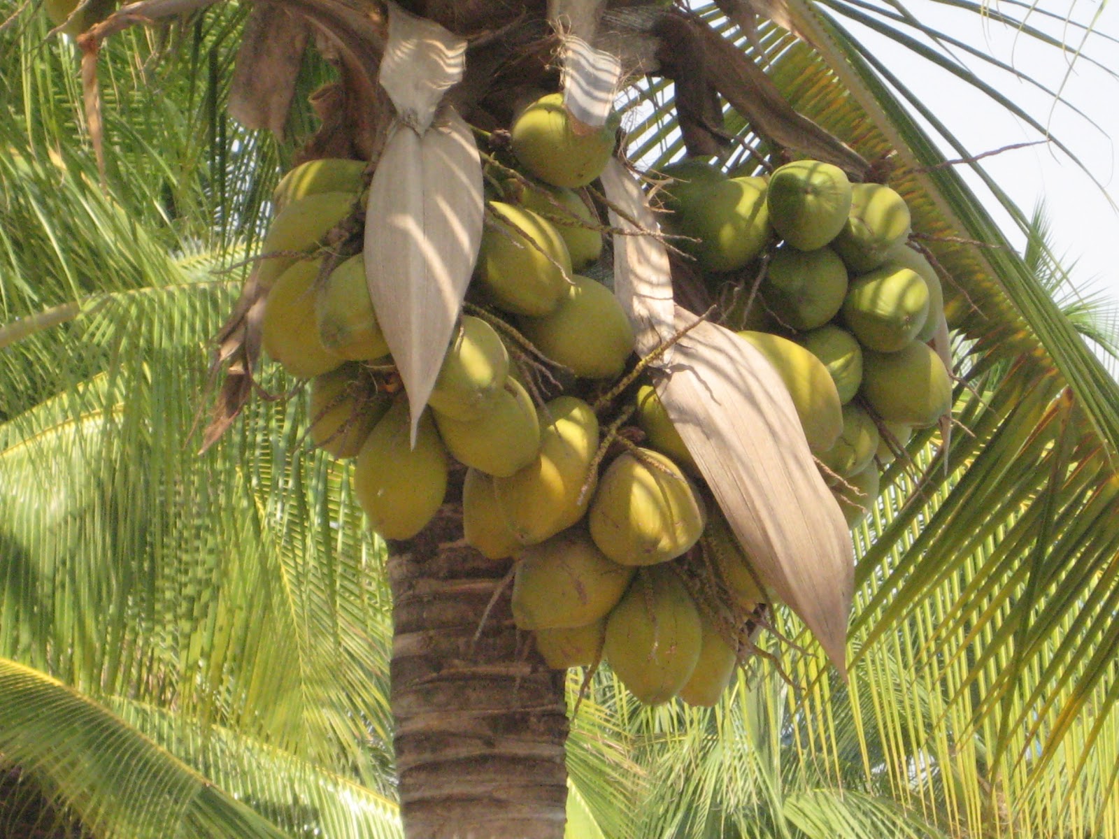 Life with Liya and Zain: Things Liya loved in India