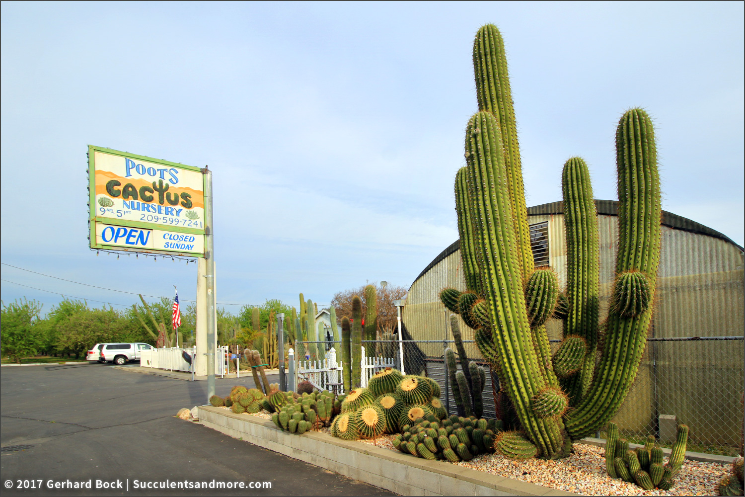Field trip to Poot's Cactus Nursery (part 1)