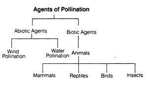 Welcome to 6 Integrity (2018)!