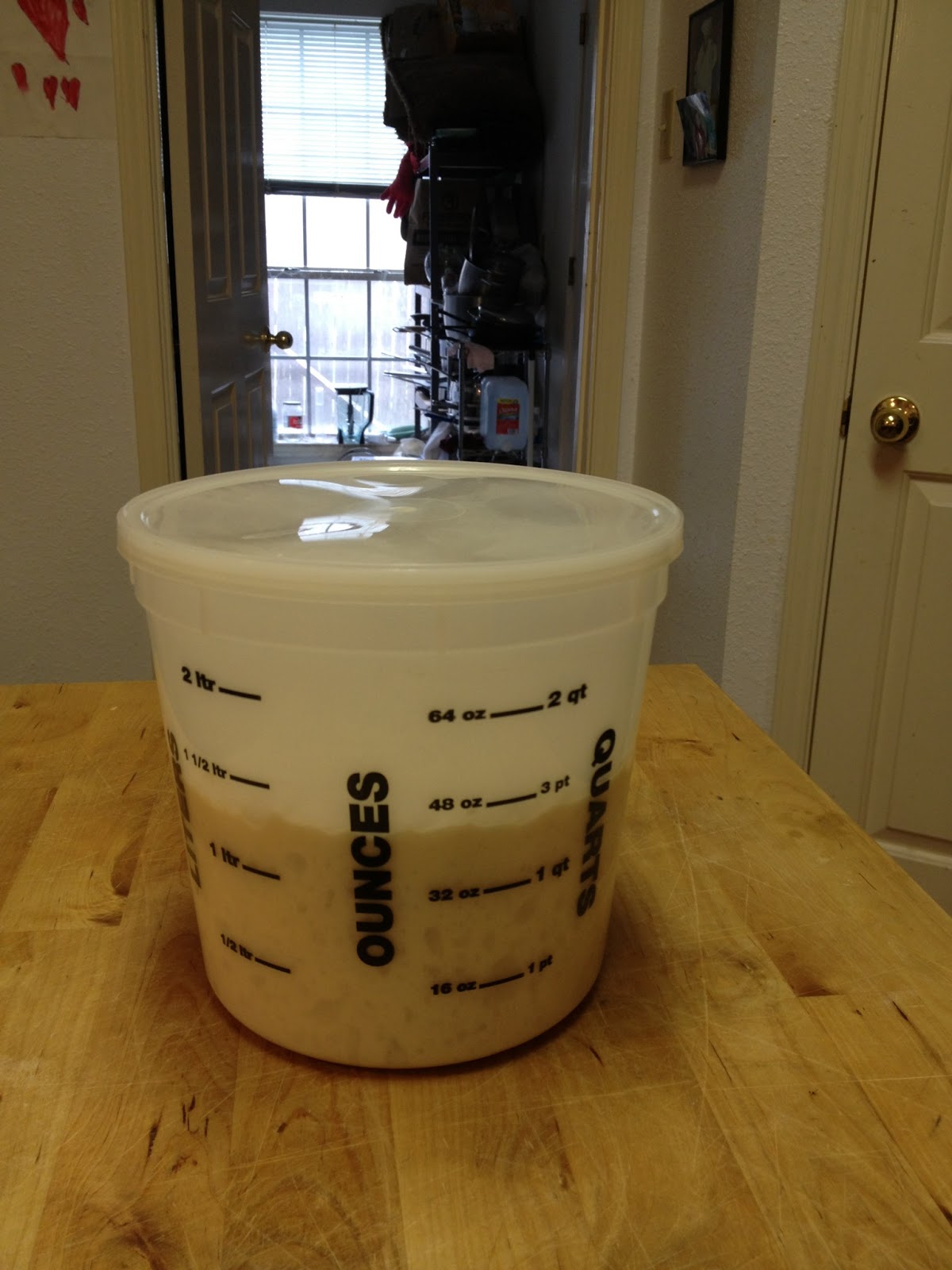 Tracy Cooks in Austin: Single Italian Crusty Loaf