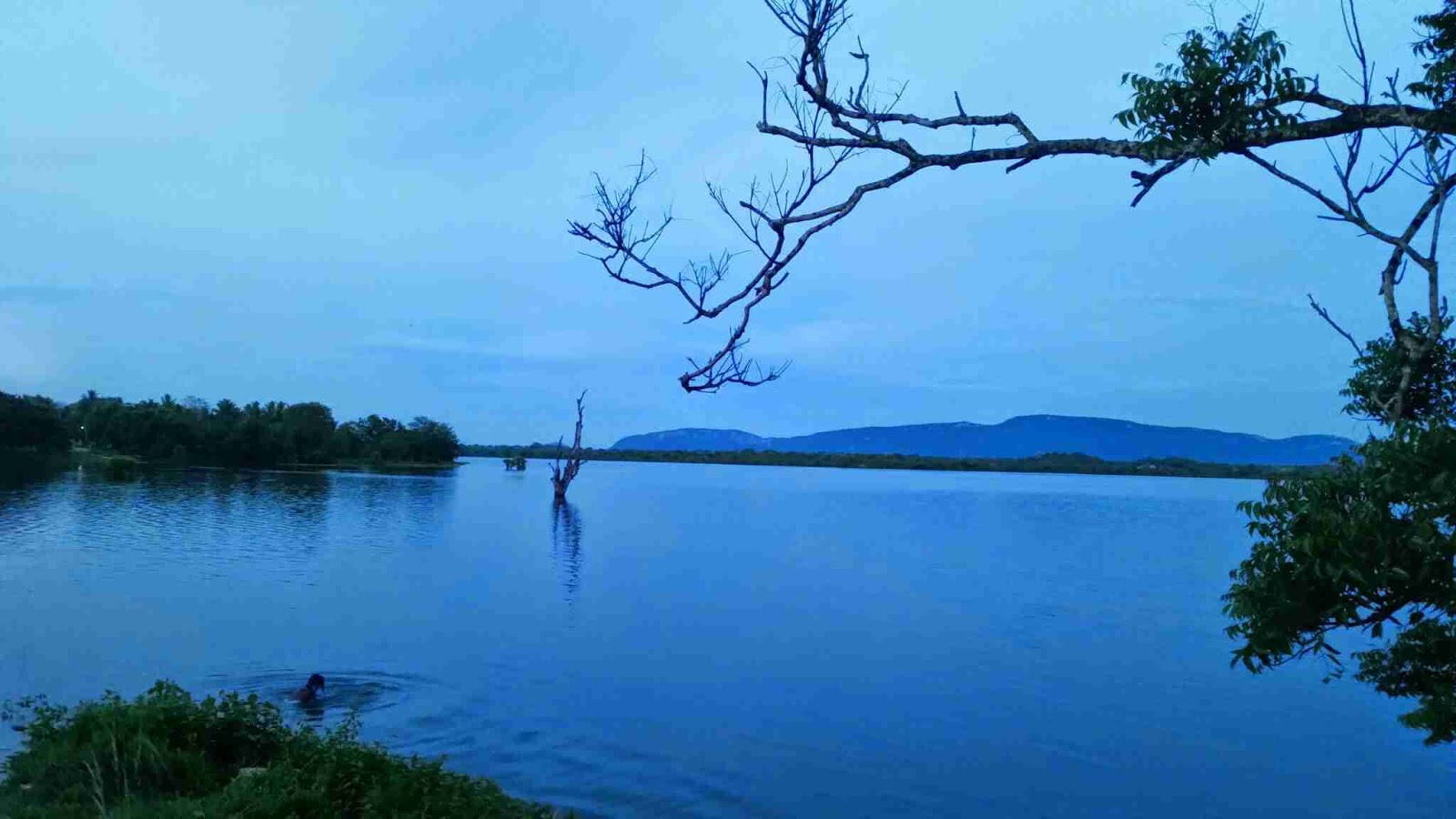 Divulgane Nature Society