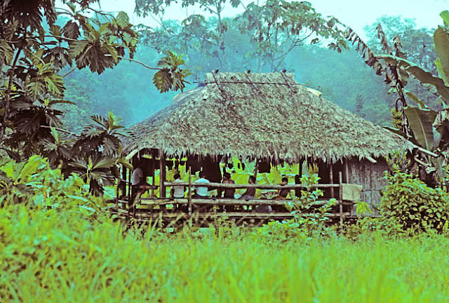 Awa tribe fact file - peryreel