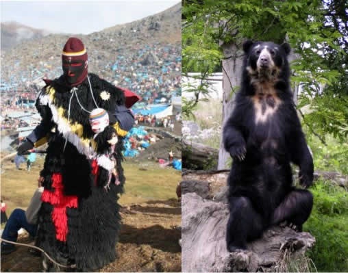 Ukumar and bears or Homo erectus? | Patagonian monsters