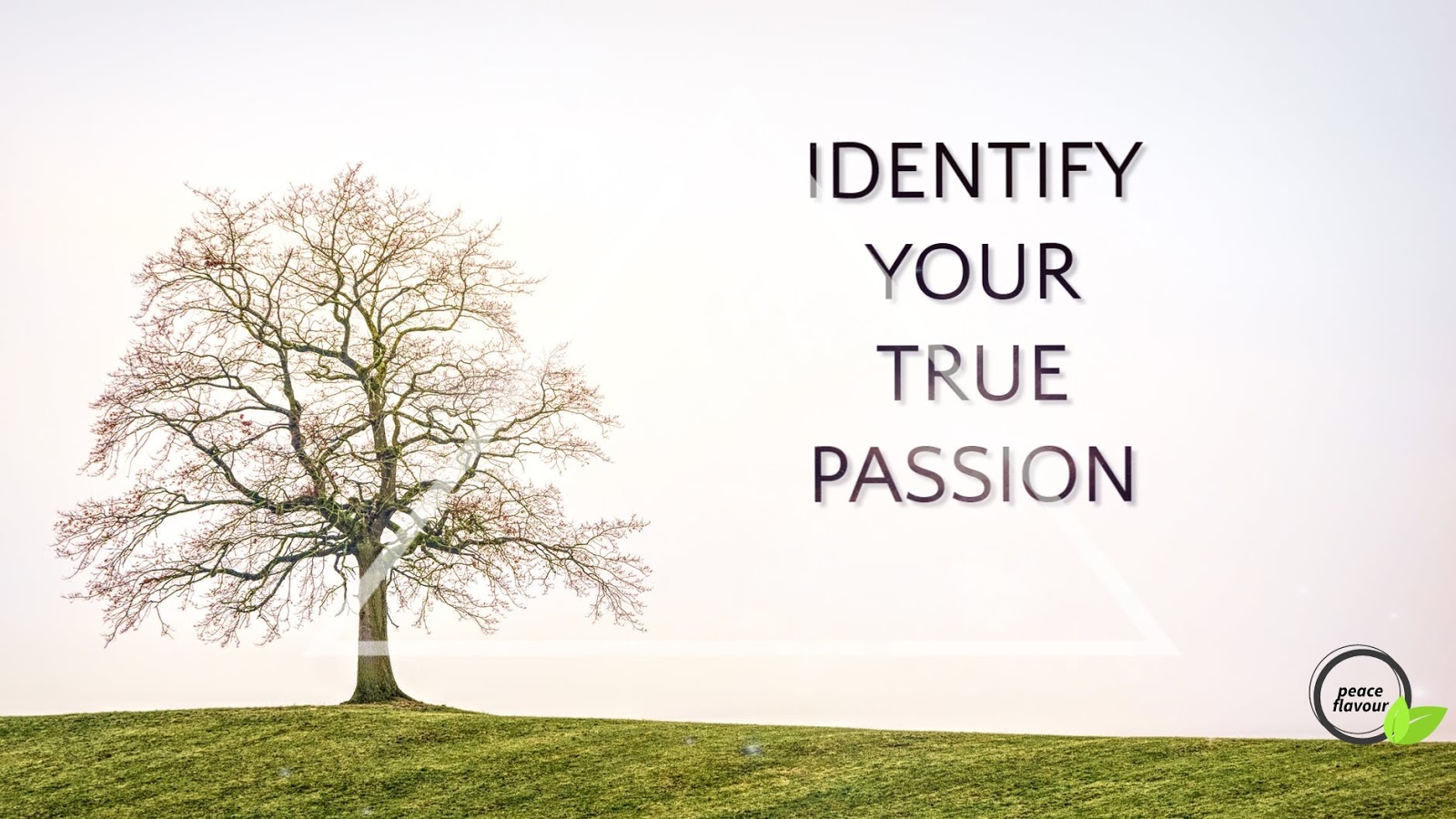 How to identify your true Passions - Peace Flavour