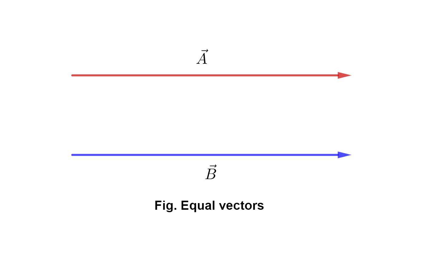 Scalars and Vectors | Complete notes | Important Questions | Class 11 ...