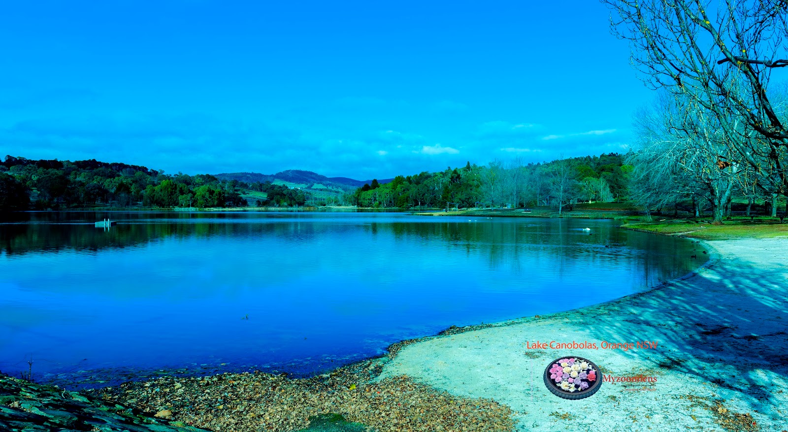 Myzoomlens: Lake Canobolas, Orange NSW