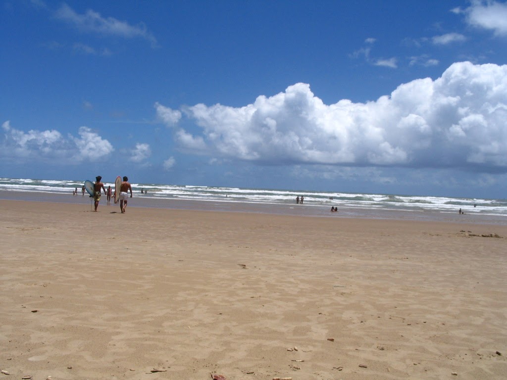MEU SEGUNDO LAR: BAIXIO - LINHA VERDE/BAHIA