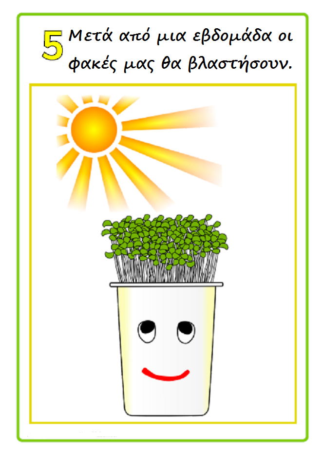 sxolikes...ataxies: ΦΥΤΕΥΟΥΜΕ ΦΑΚΕΣ -Ο ΦΑΚΟΥΛΗΣ