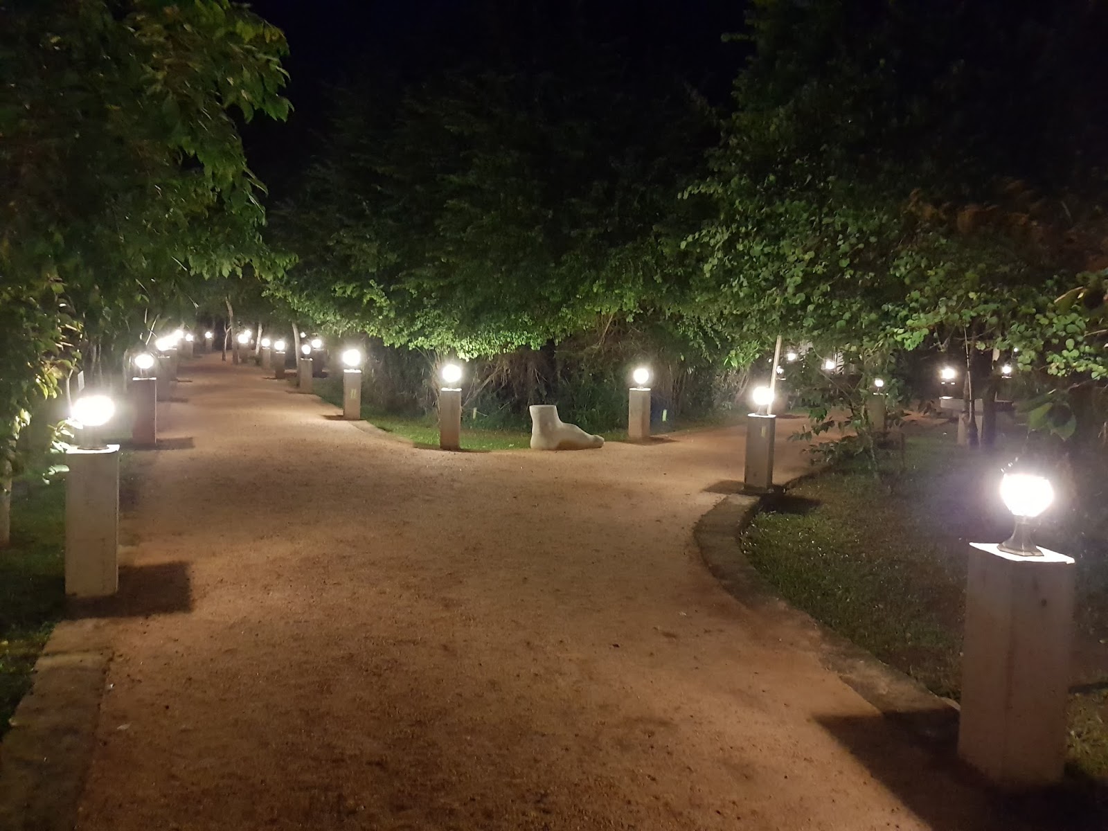 Outing to Amaara Forest Hotel Sigiriya and Maalu Maalu Resort & Spa ...