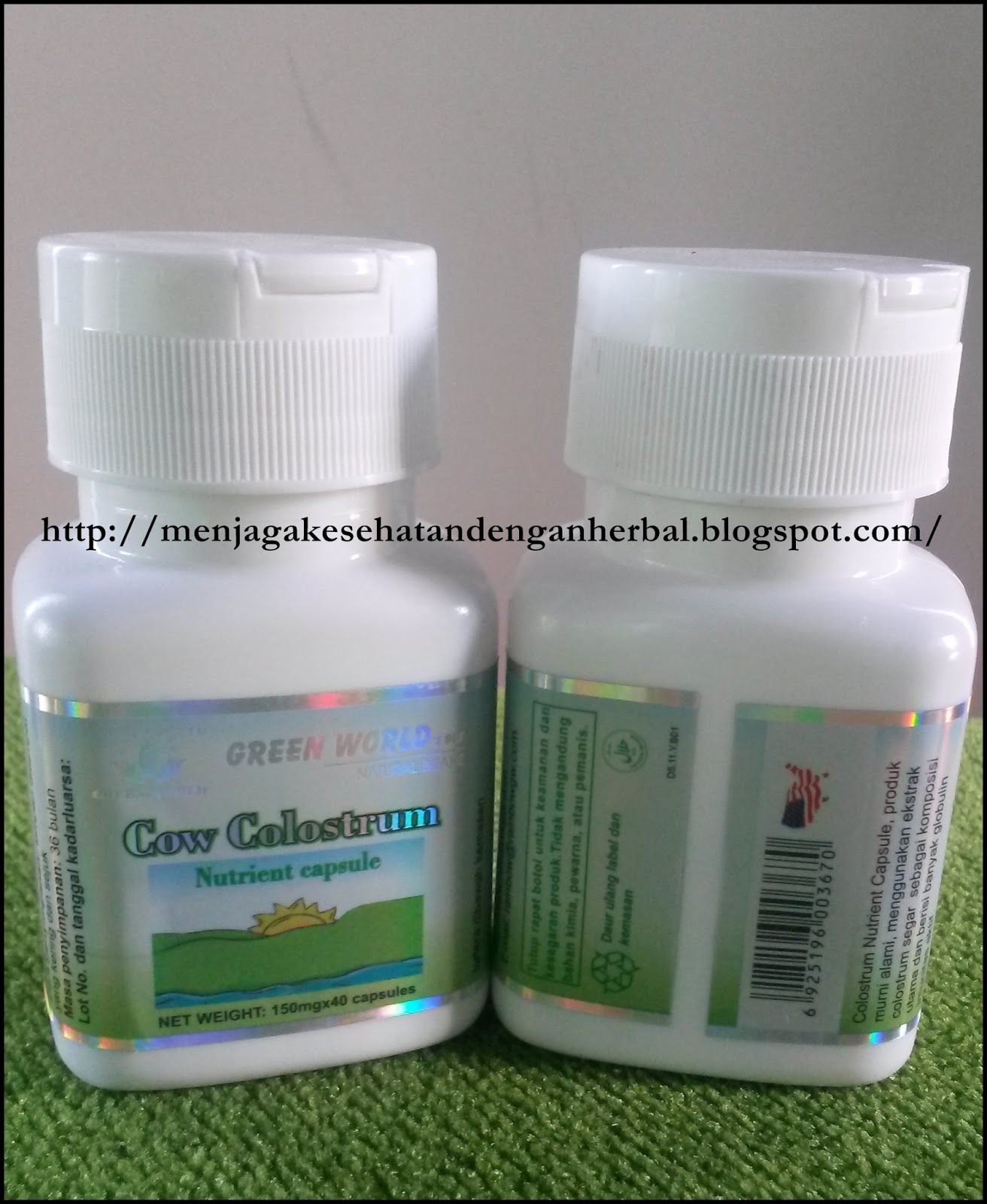 Obat Penyakit Tipes Paling Ampuh Pada Anak Dan Dewasa - Menjaga ...