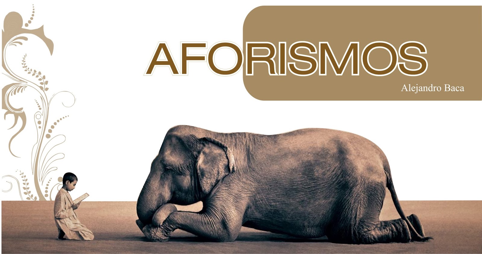 TALLER LITERARIO DE LIBÉLULA: Apuntes: 125. AFORISMOS