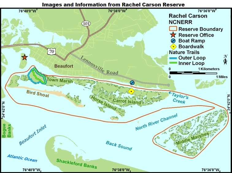 Beaufort NC Inlet & Harbor: Rachel Carson Reserve - An Overview