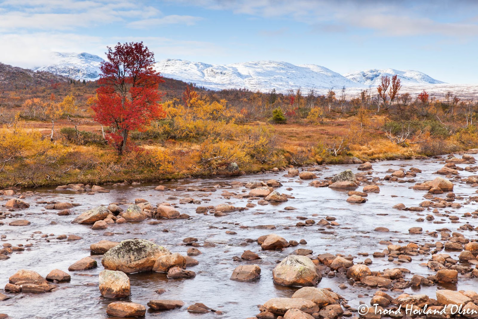 Naturbilder : Høst i fjellet
