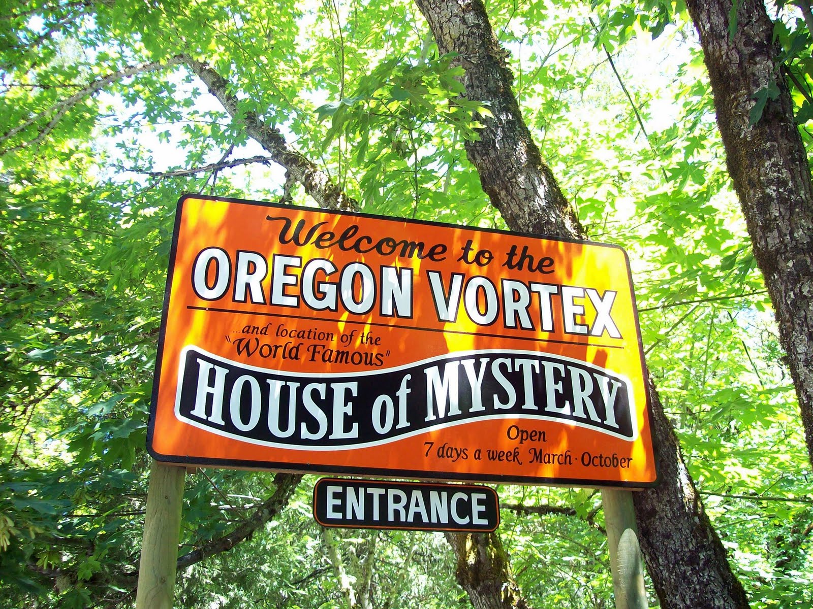 Margret & Ian's Epic Adventure: The Vortex