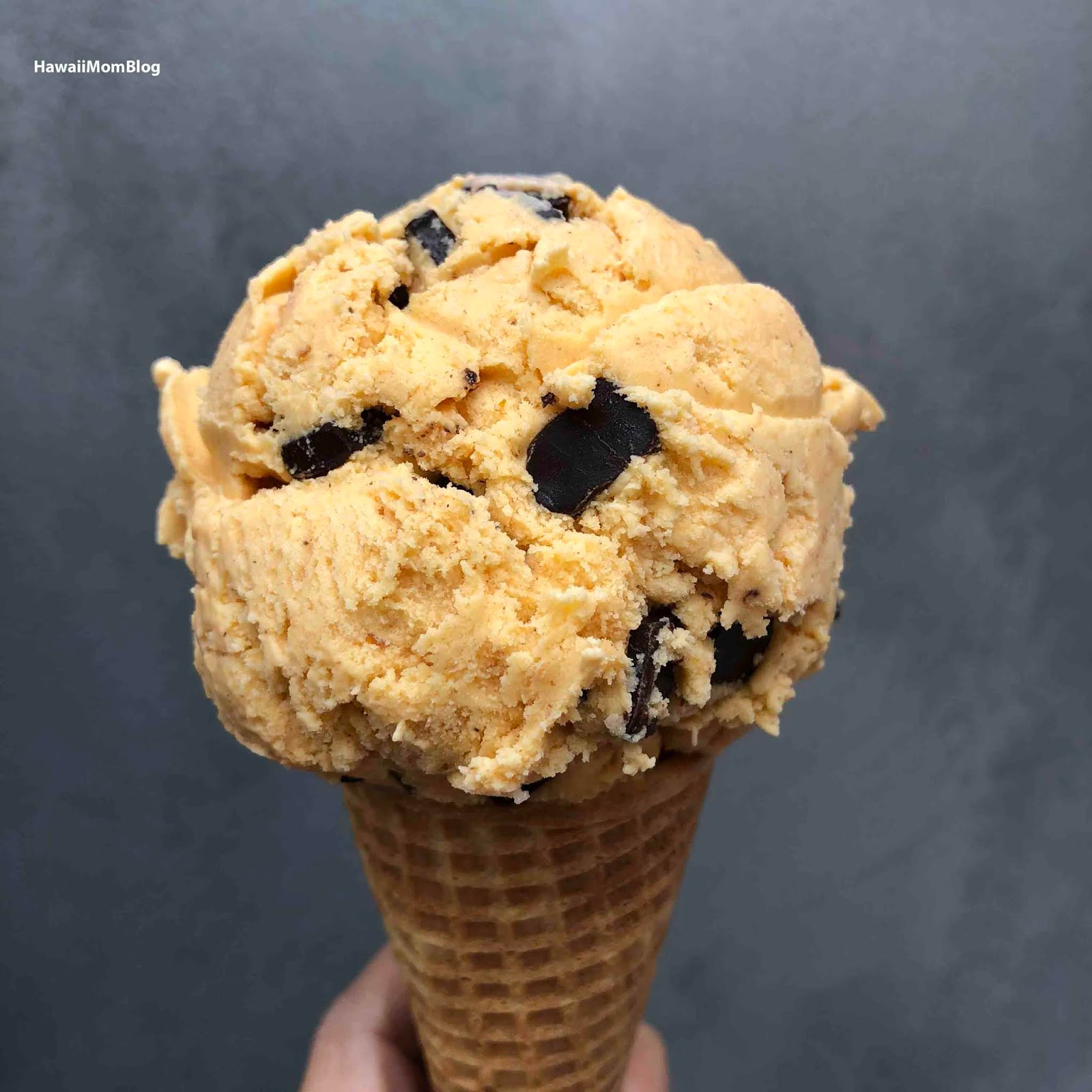 Hawaii Mom Blog: Visit Denver: Little Man Ice Cream