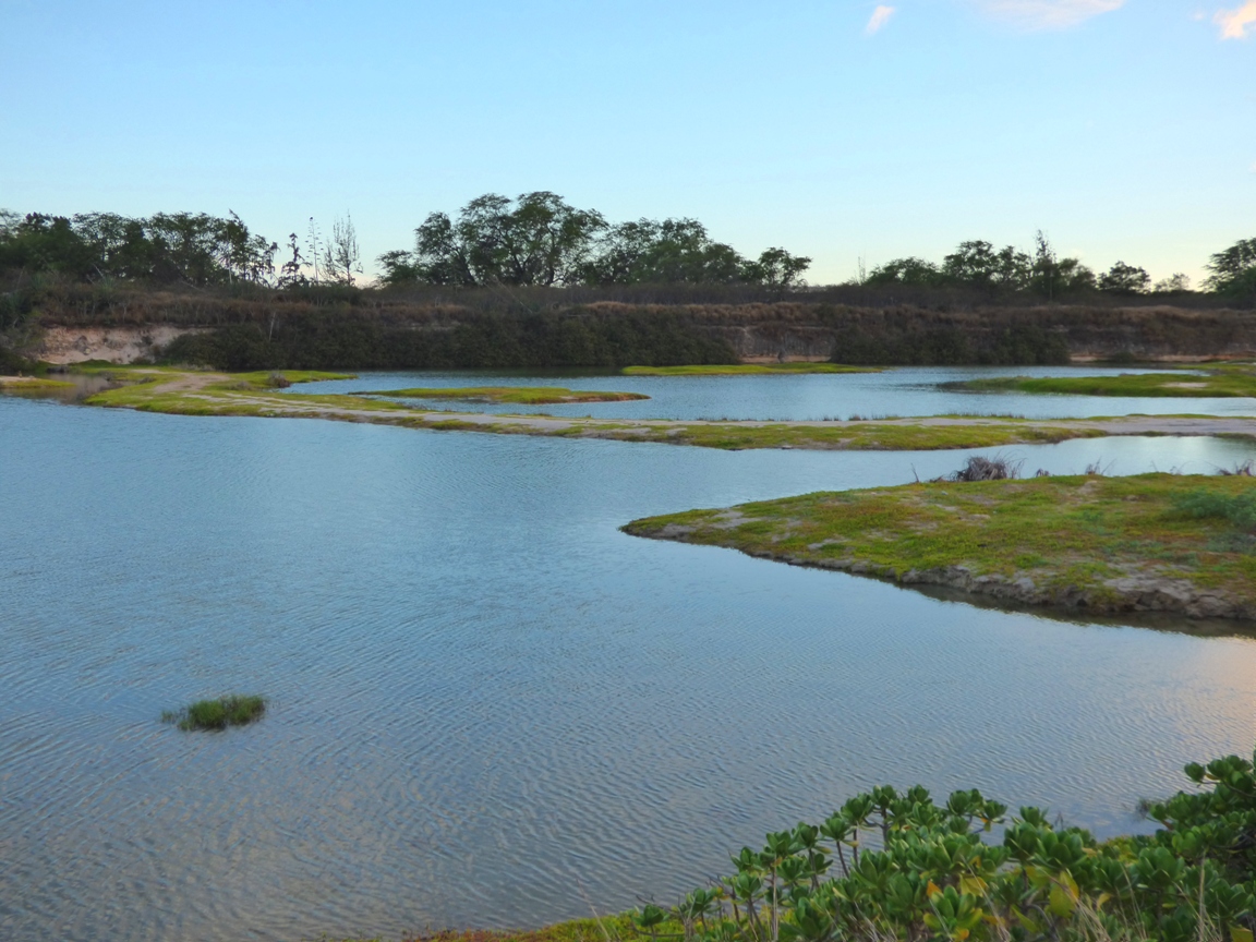 Geotripper: The Hawai'i That Was: The Lost Wetlands of the Mana Plain ...