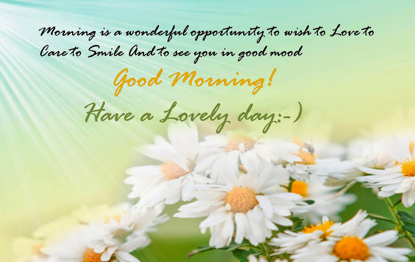 Good Morning Greetings HD Images HD Wallpapers Download