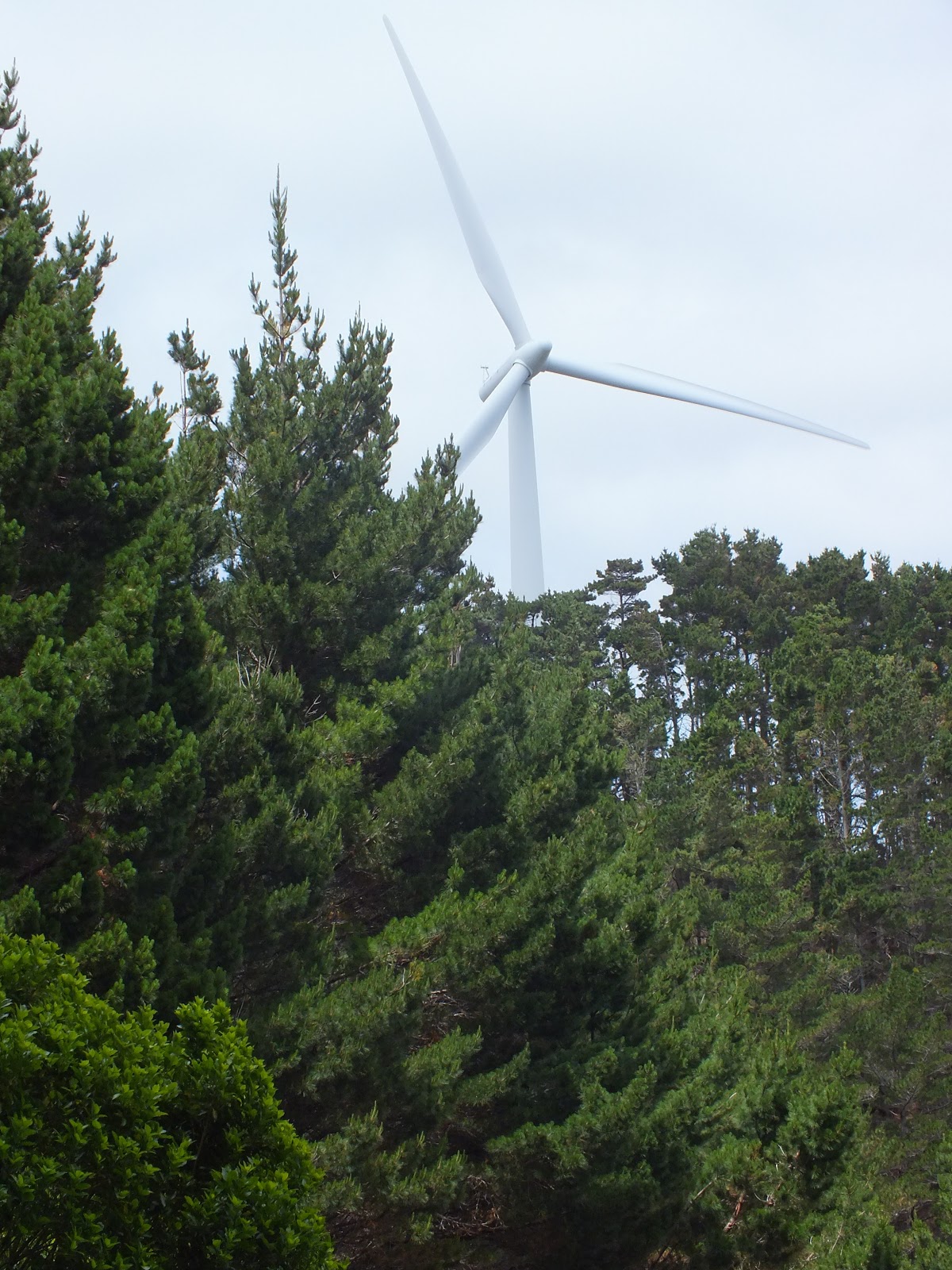 UK to New Zealand - The Brunts Big Move: Windmills of Wellington