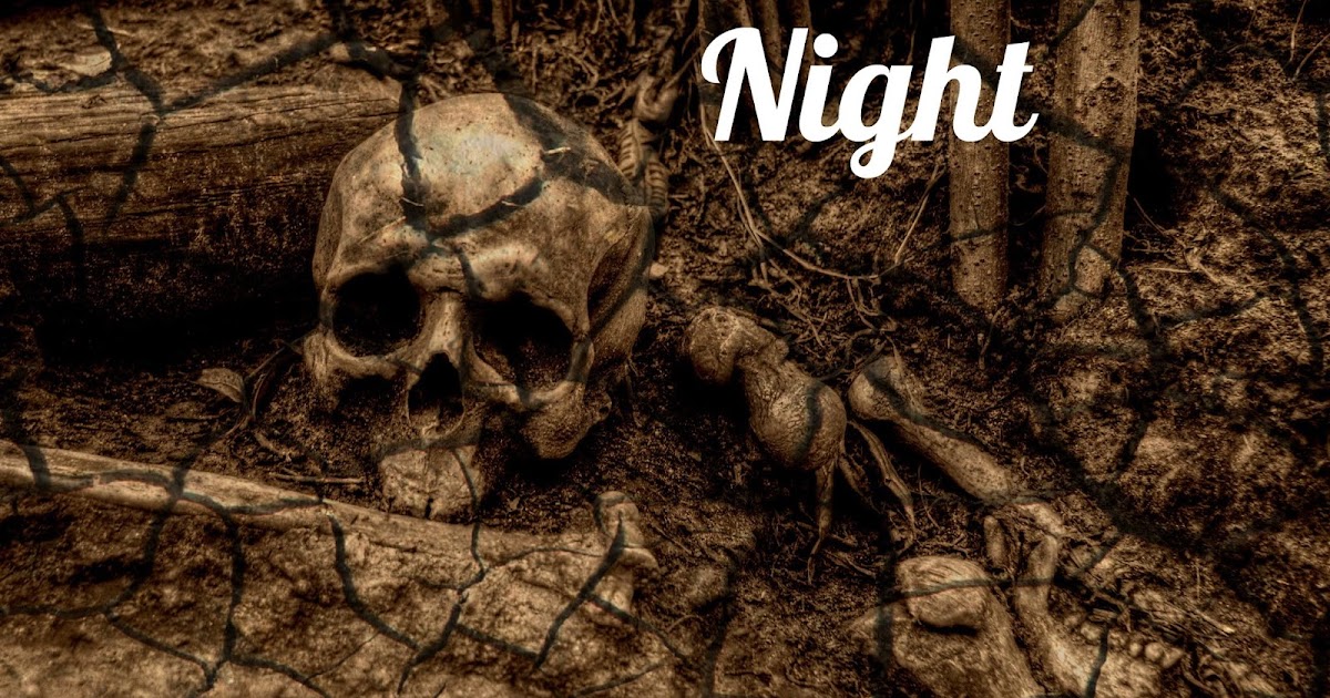 Elie Wiesel - Night (Overview)