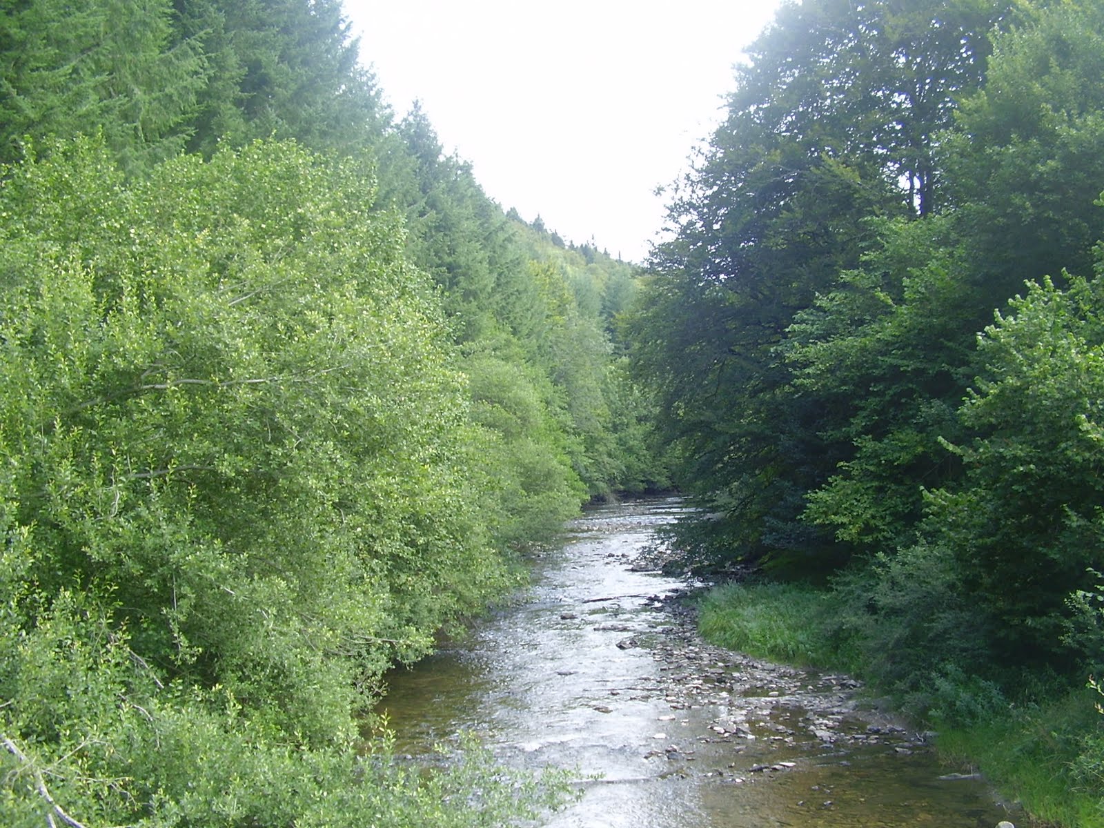 Senderos Almariya: 2. Sendero Cascada del Cubo – selva de Iratí - Navarra