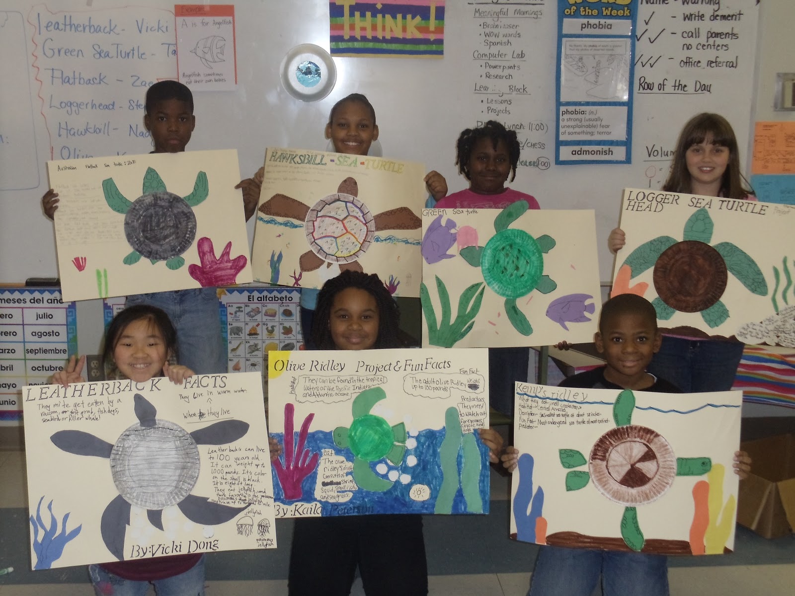 C.C.A.T.S. Elementary Classes: 4th Graders Learn About Sea Turtles!