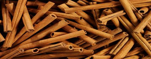 Wow! Kayu Manis dan Segudang Manfaatnya Bagi Kesehatan - ALAMI TRADISIONAL